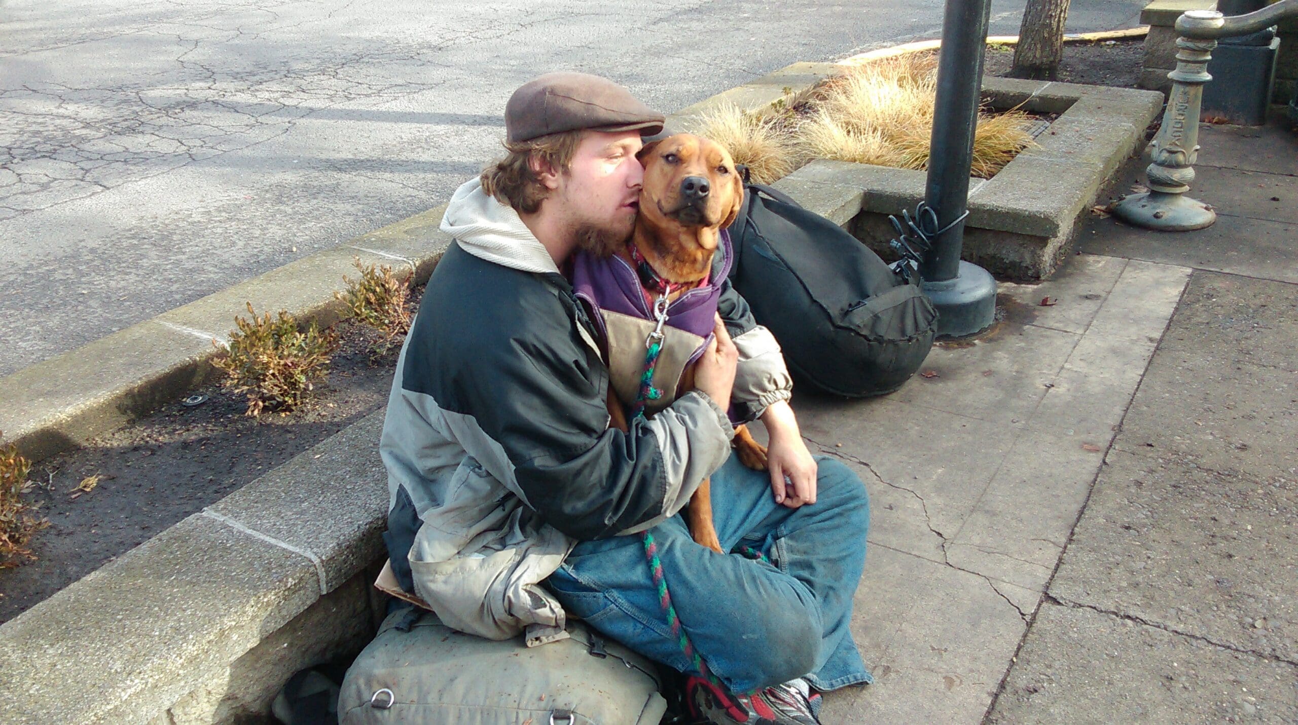 Help a Pet in Need with a Donation to Rogue Valley Street Dogs - Rogue ...