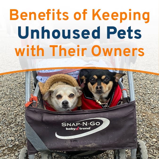 Benefits of Keeping Unhoused Pets with Their Owners - Rogue Valley ...