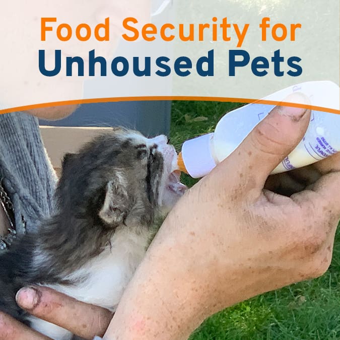 Food Security for Unhoused Pets - Rogue Valley Street Dogs