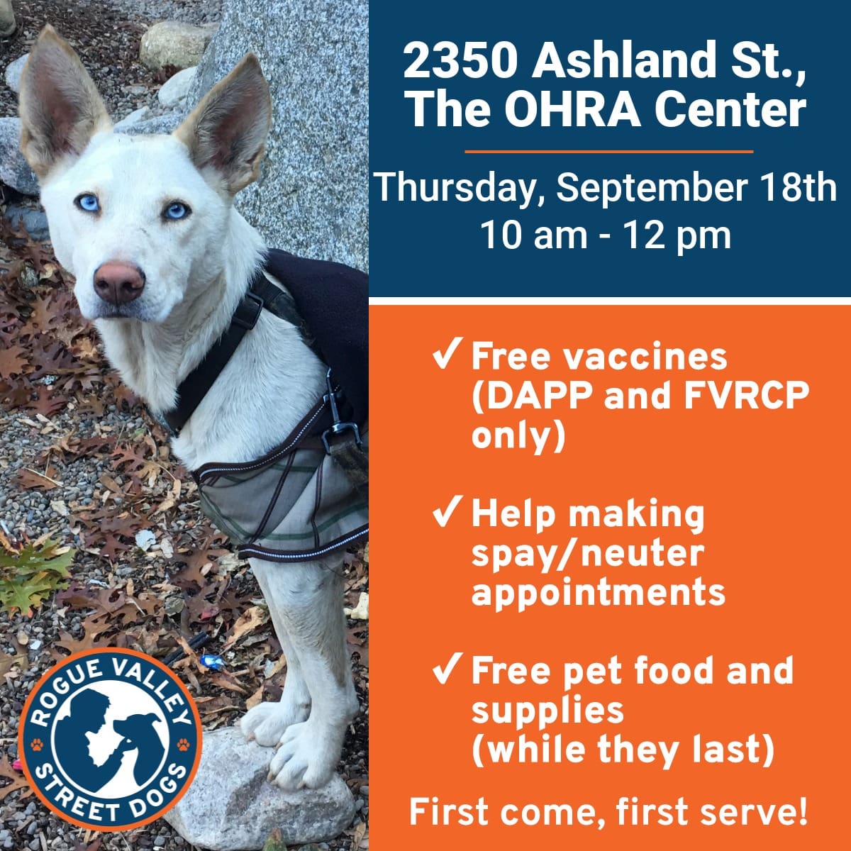 Rogue Valley Street Dogs Outreach on 9/18/2025 - Rogue Valley Street Dogs