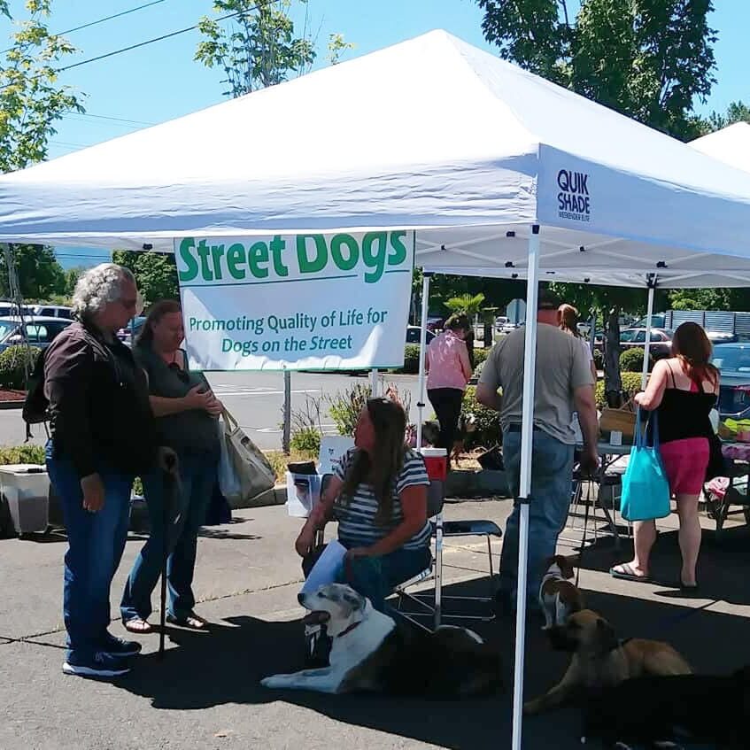 Volunteer Opportunities with Rogue Valley Street Dogs - Rogue Valley ...